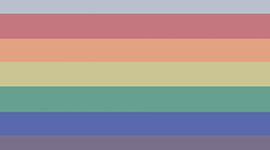 Women's Daily Stride Comfort Crew Socks *Rainbow